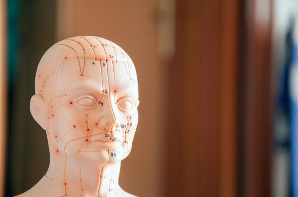 Acupuncture: From Ancient Origins to Modern Life in Eugene ...
